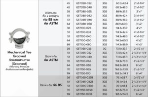 Mechanical Tee Grooved Galvanized - Mech